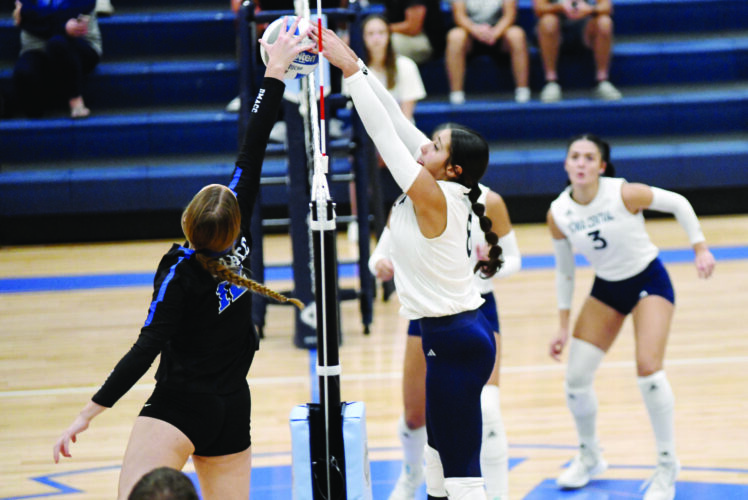 NET IMPACT | News, Sports, Jobs - Messenger News